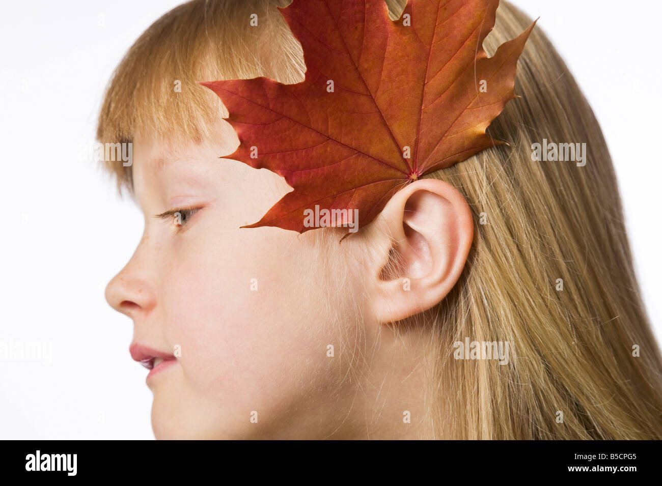 Girl wearing a autumn maple leaf behind her ear Stock Photo - Alamy