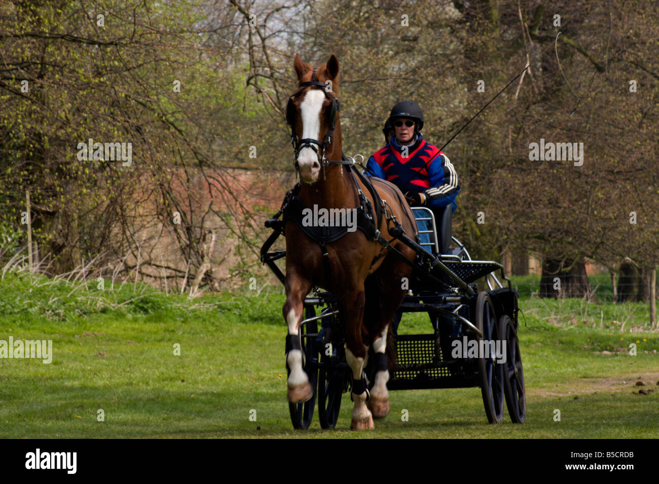 Horse driving competition hi-res stock photography and images - Alamy