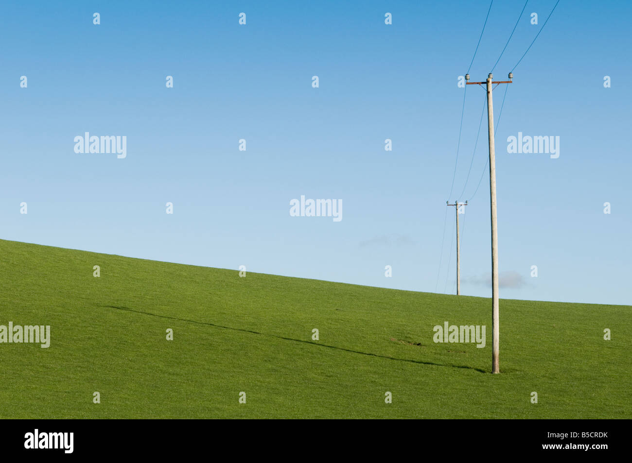 Electricity poles carrying power line crossing and empty green field ...