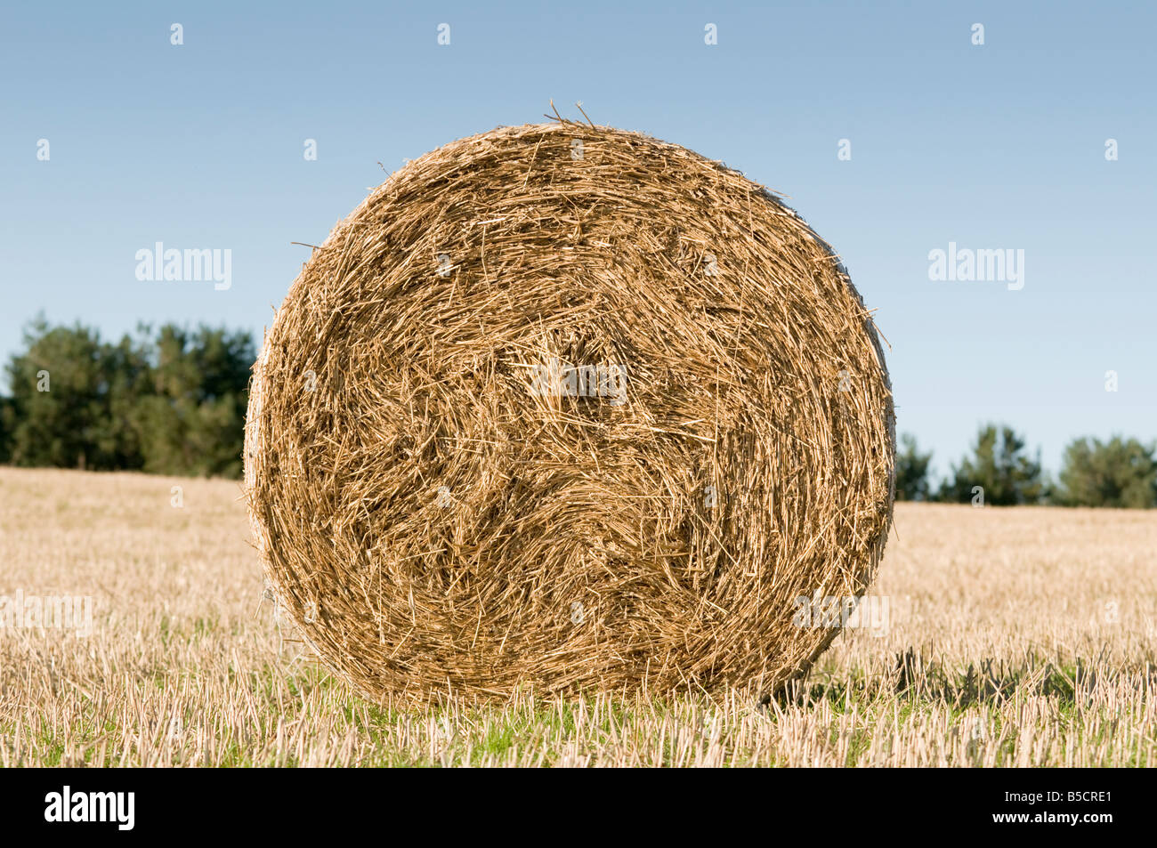 Big circular bales hi-res stock photography and images - Alamy