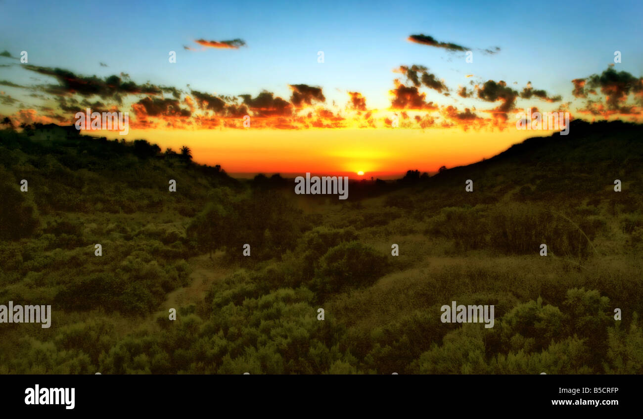 Donna pagakis hi-res stock photography and images - Alamy