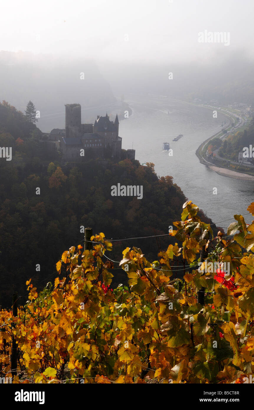 German vines growing hi-res stock photography and images - Alamy