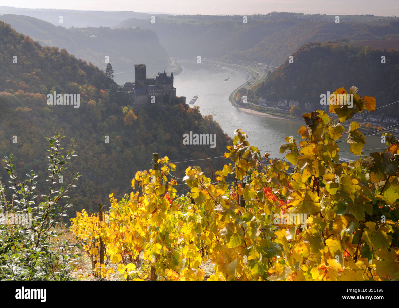 German vines growing hi-res stock photography and images - Alamy