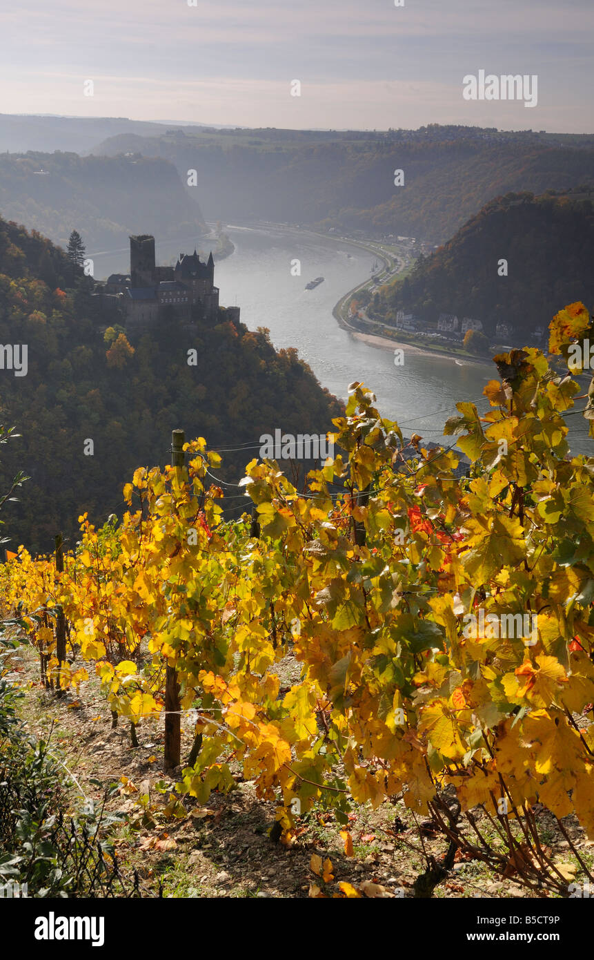 Burg Katz German castle, vineyards, Rhine valley in autumn, Germany ...