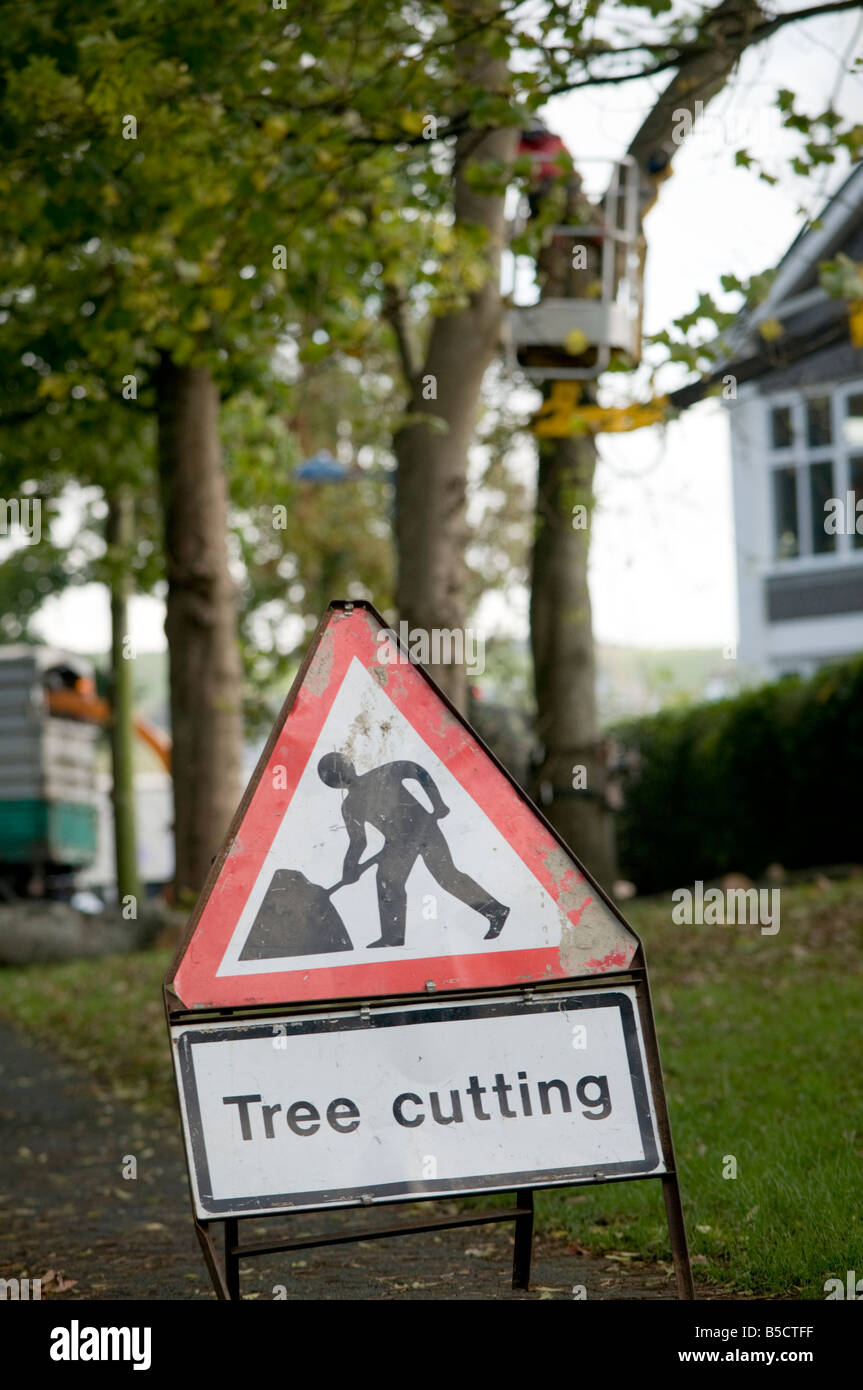 Tree cutting triangle sign hi-res stock photography and images - Alamy