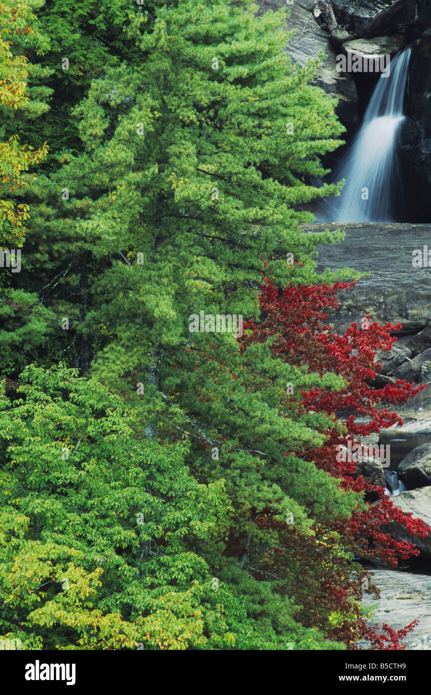 Falls and trees with fall foliage Whitewater Falls Nantahala National ...