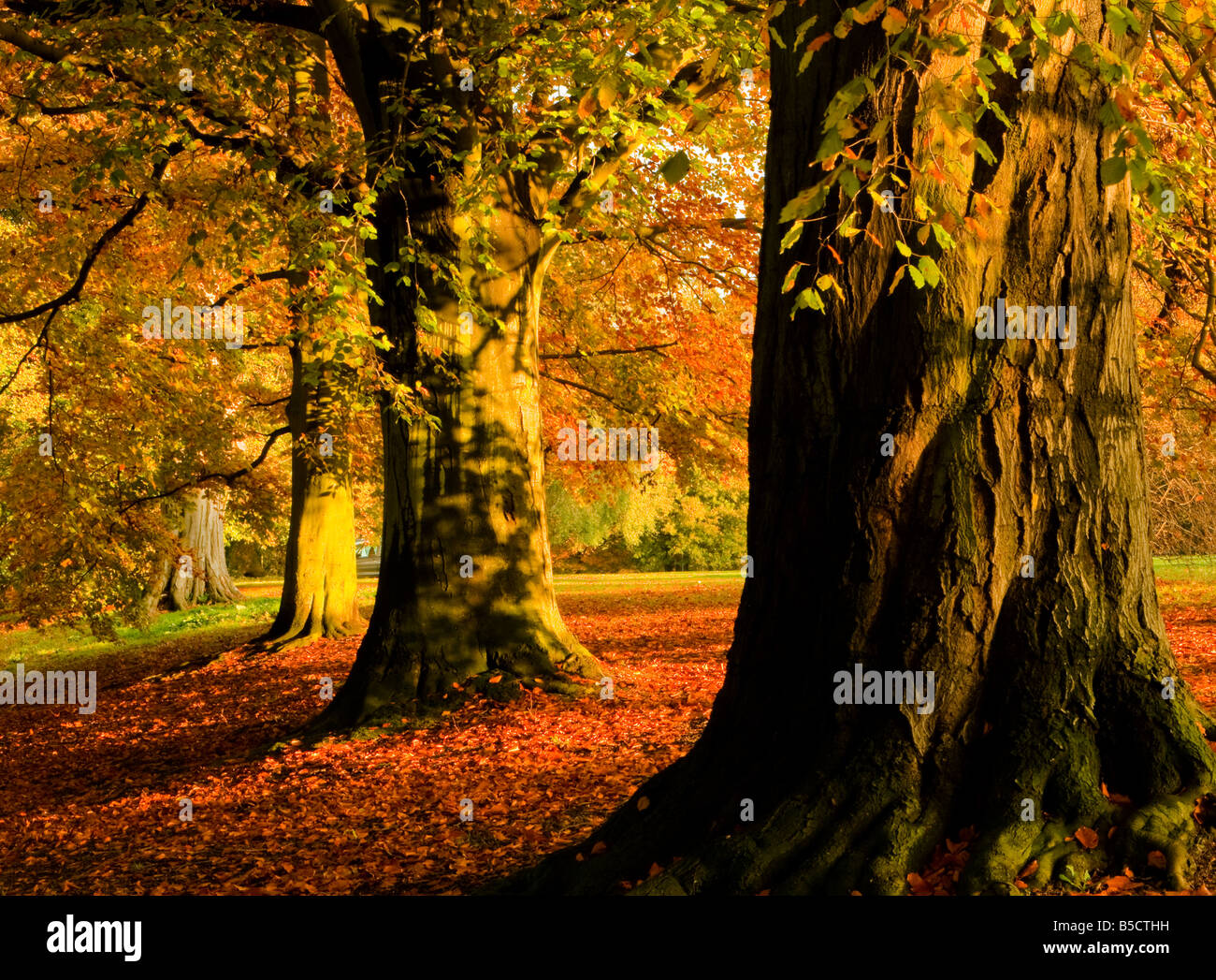 Autumn in kent hi-res stock photography and images - Alamy