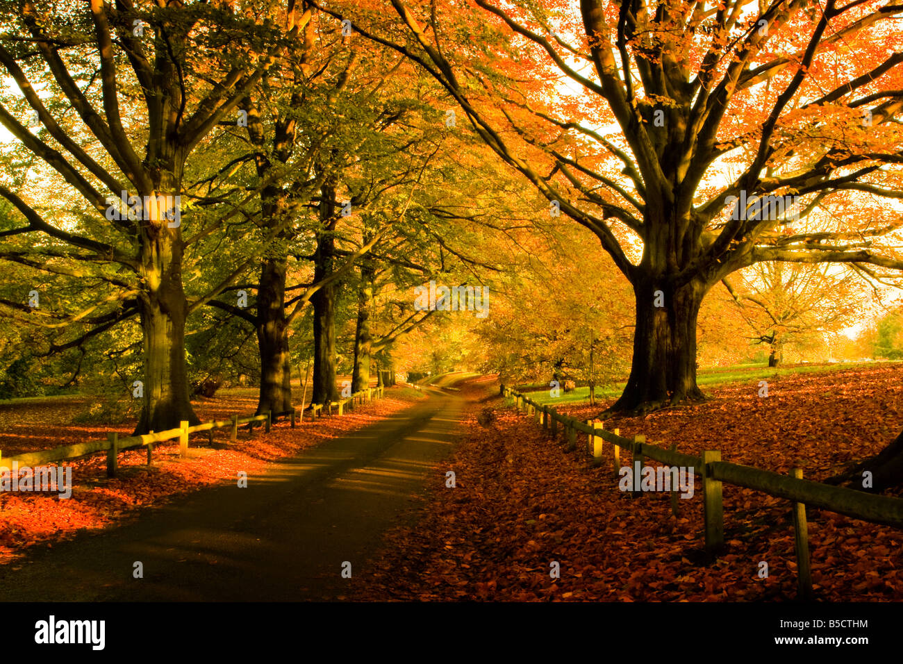 Fall in kent hi-res stock photography and images - Alamy