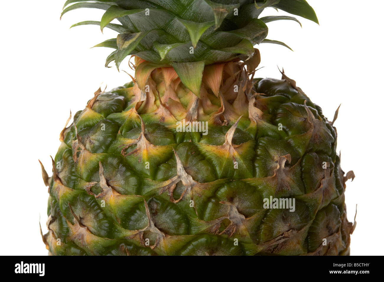 close up of the skin and crown of a gold pineapple Stock Photo - Alamy