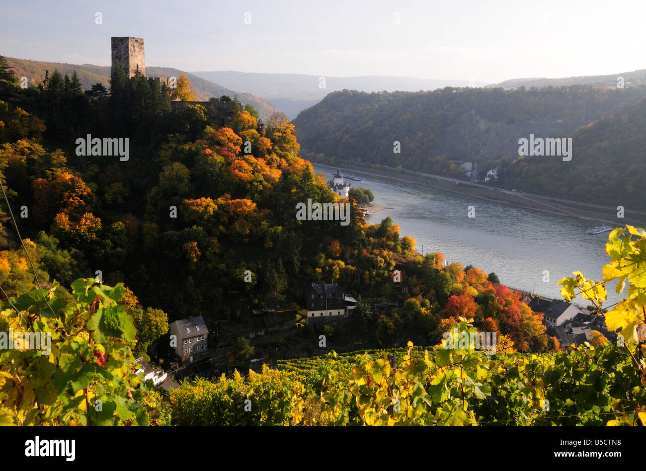 Rhine valley germany vineyards hi-res stock photography and images - Alamy