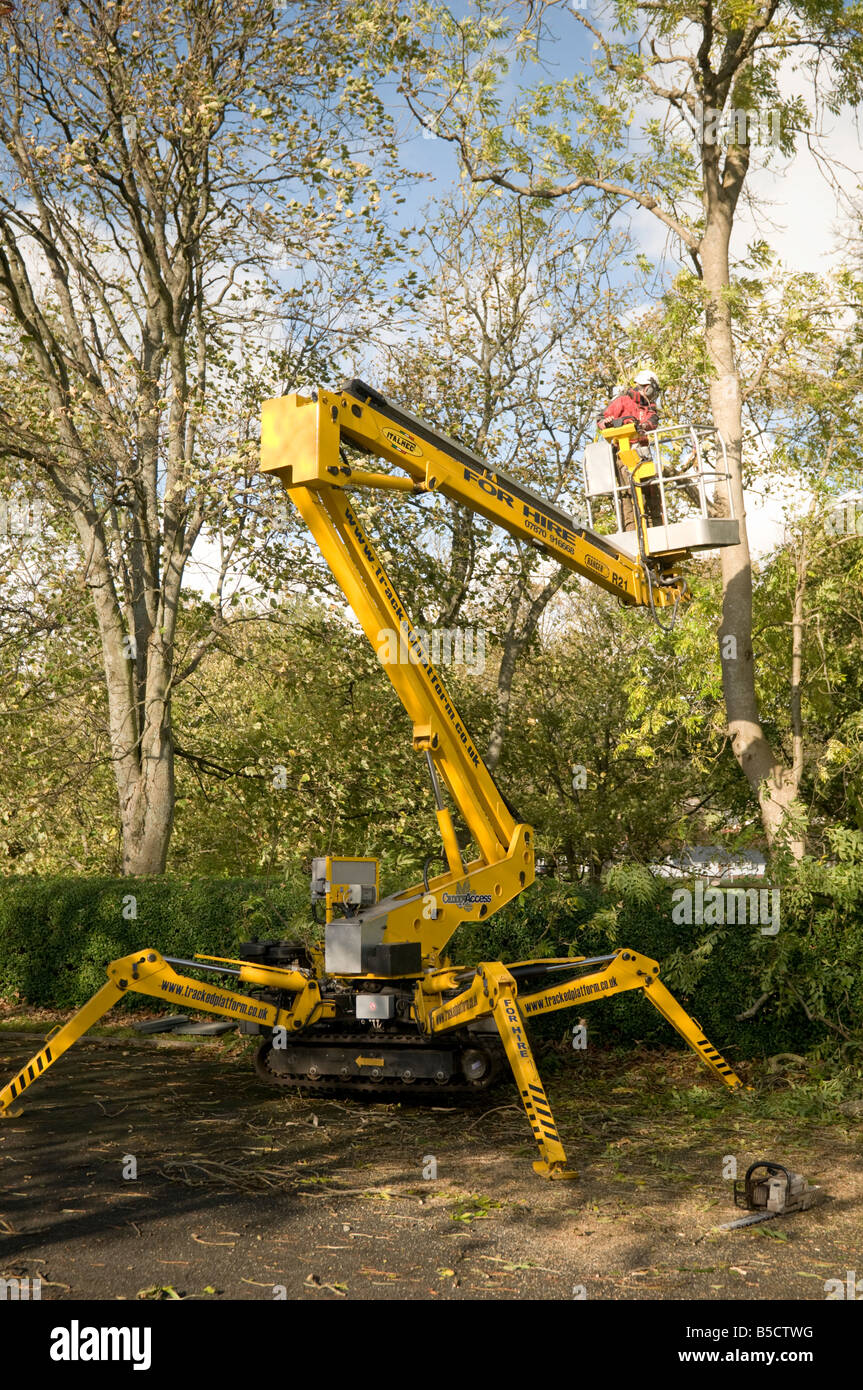 Tree surgeon in elevated tracked platform cutting branches off an ...