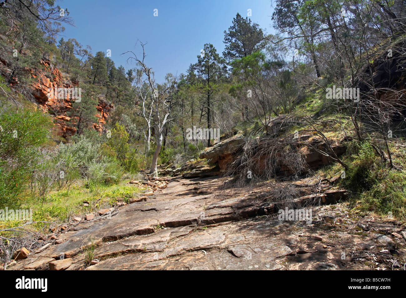 Alligator gorge south australia hi-res stock photography and images - Alamy