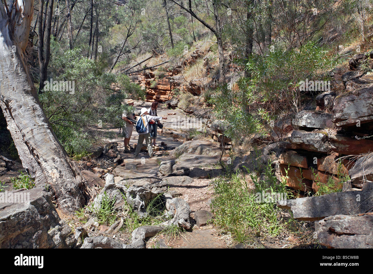 Alligator gorge south australia hi-res stock photography and images - Alamy