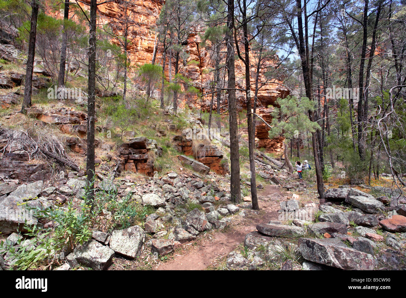 Alligator gorge south australia hi-res stock photography and images - Alamy