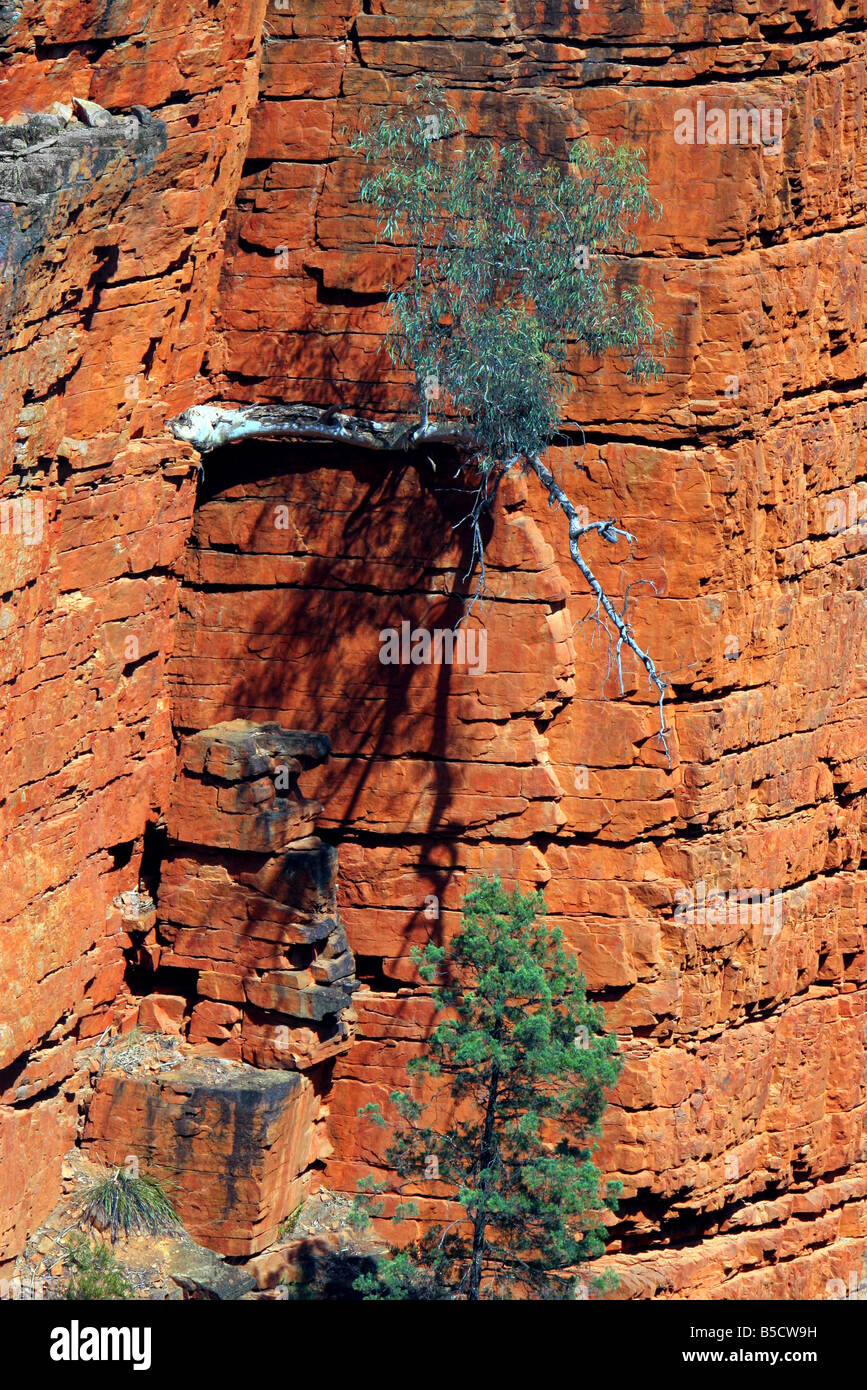 Alligator gorge south australia hi-res stock photography and images - Alamy