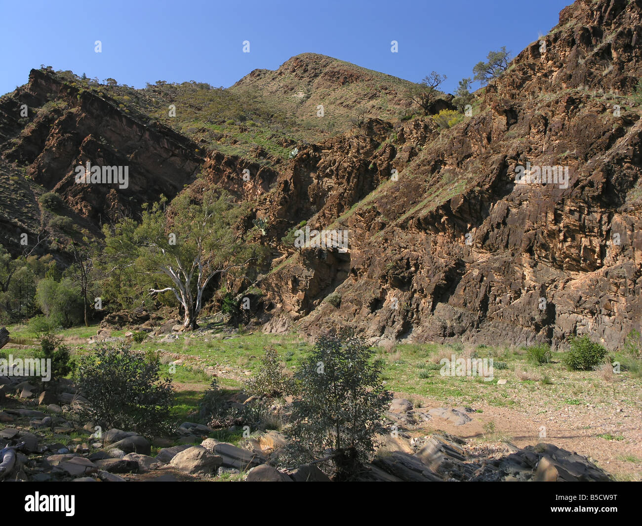 Blinman hi-res stock photography and images - Alamy