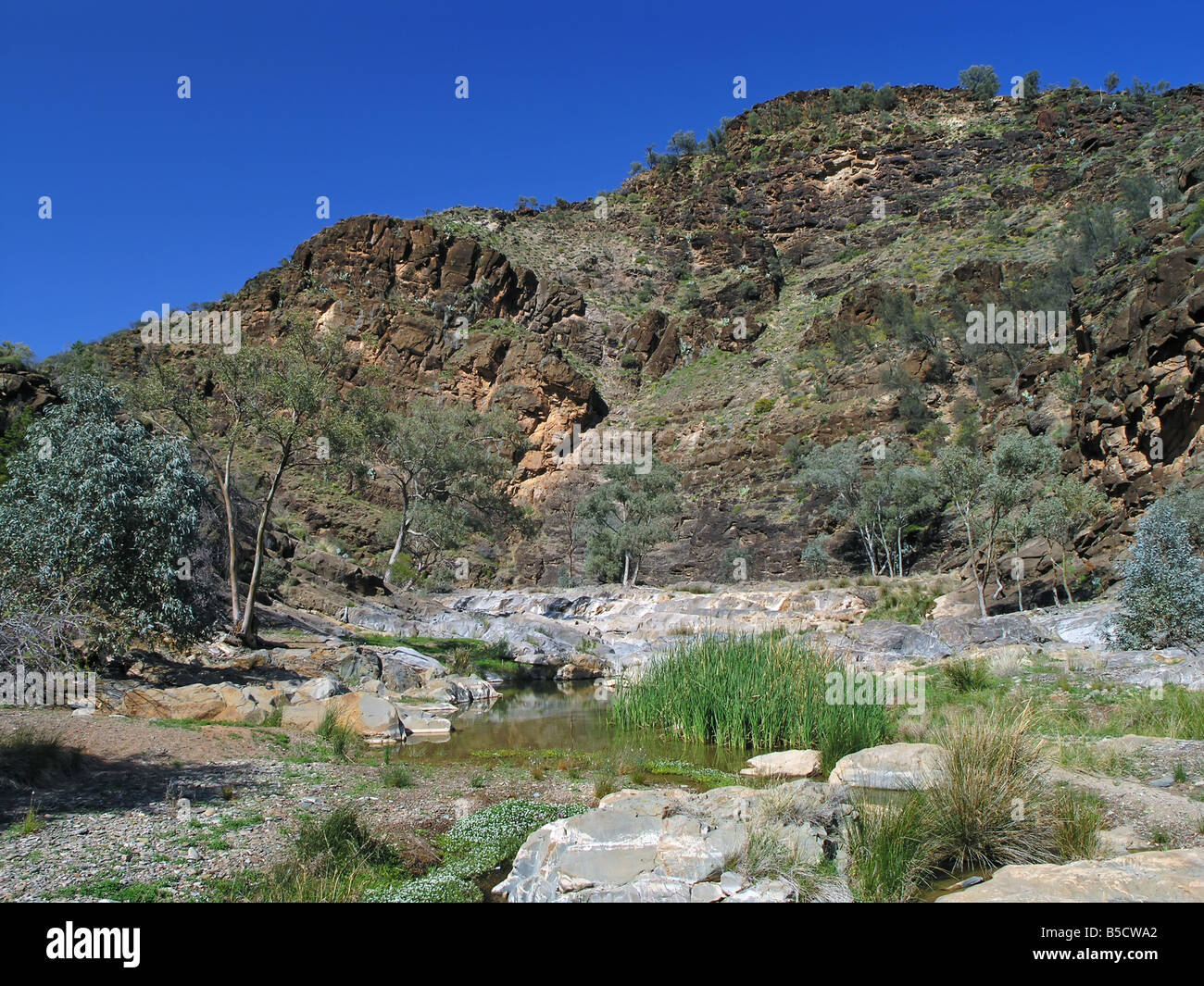 Blinman Pools Hike Stock Photo - Alamy