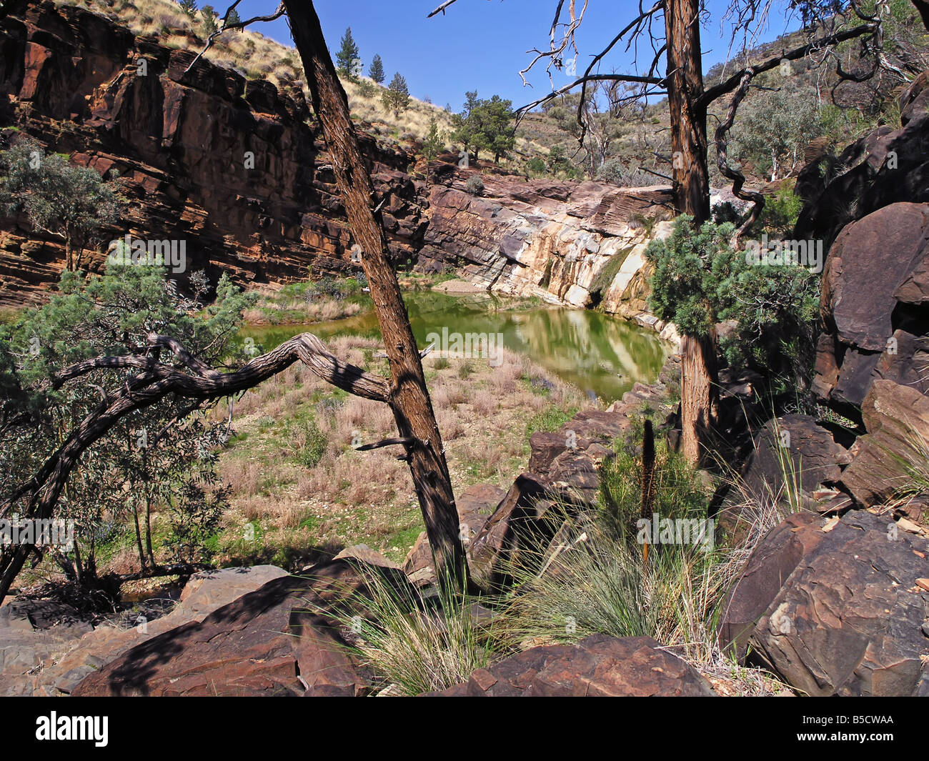 Blinman Pools Hike Stock Photo - Alamy