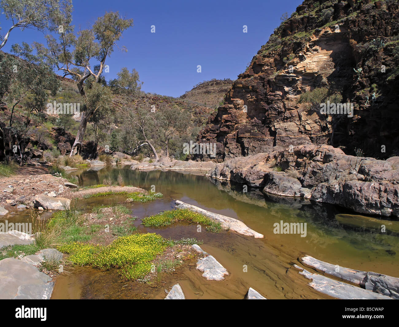 Blinman pools hi-res stock photography and images - Alamy