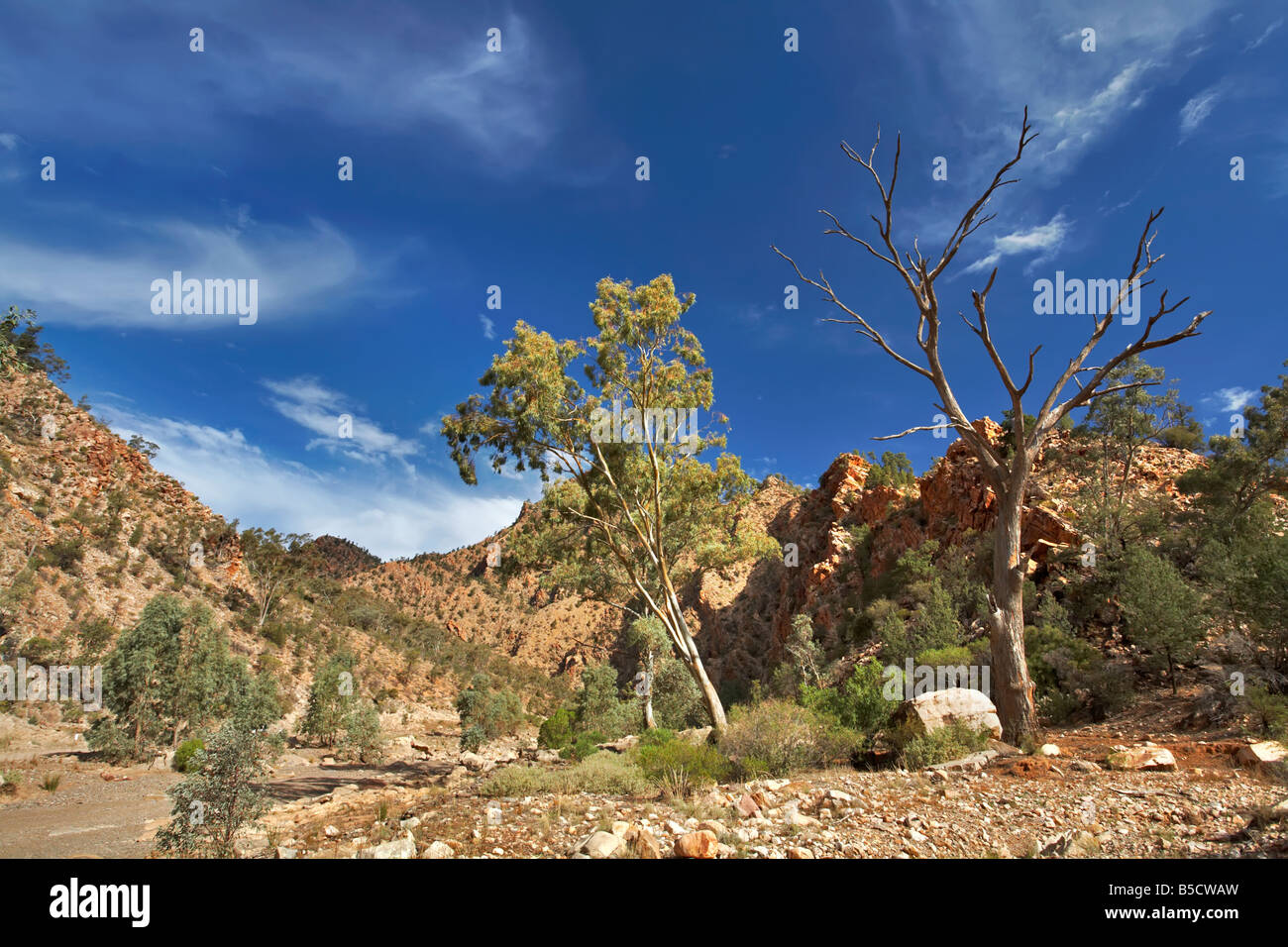 Brachina gorge hi-res stock photography and images - Alamy