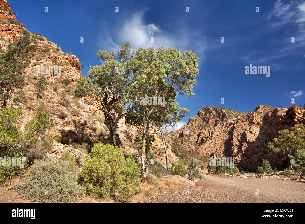 Brachina gorge hi-res stock photography and images - Alamy