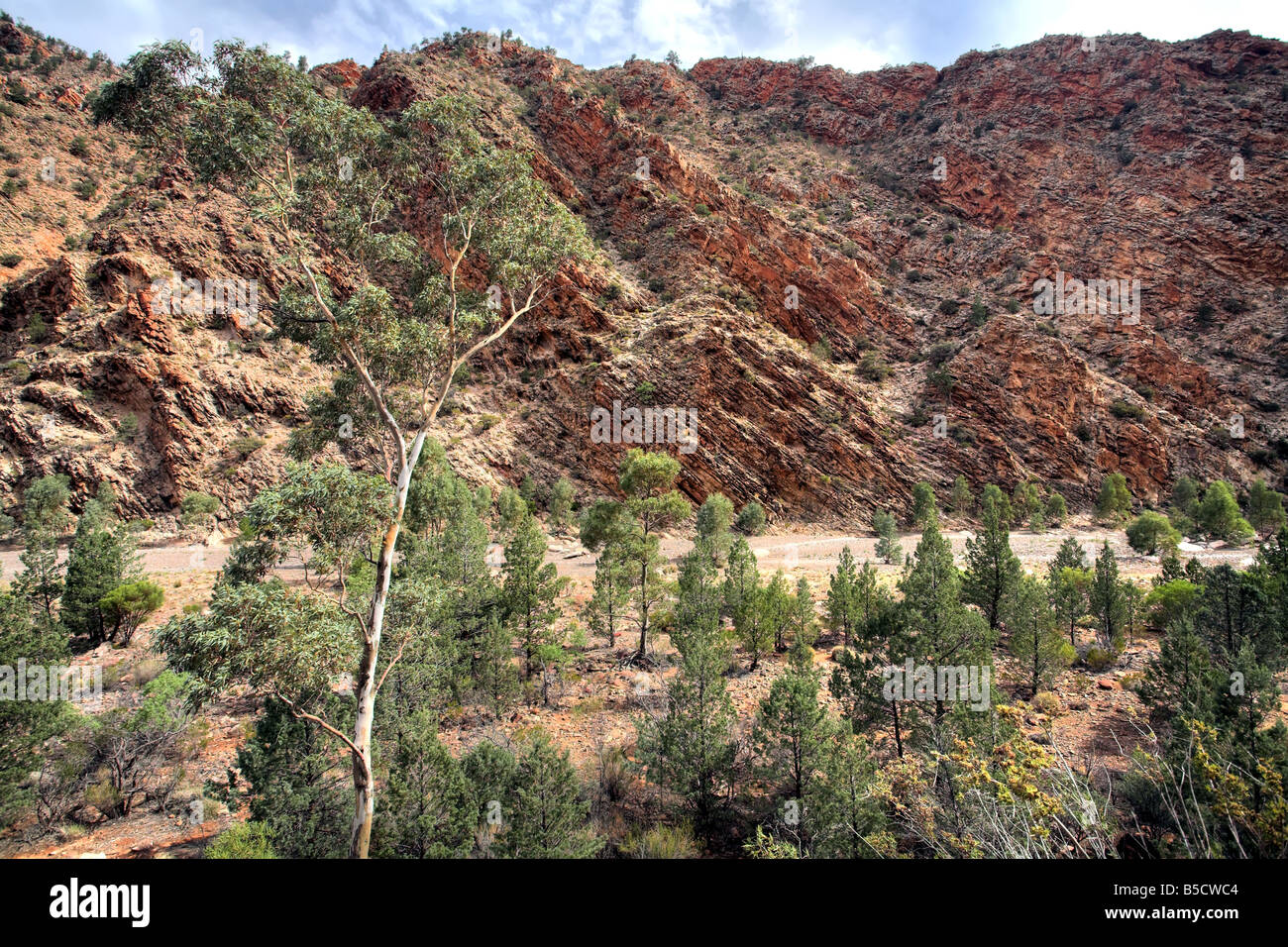 Brachina gorge track hi-res stock photography and images - Alamy