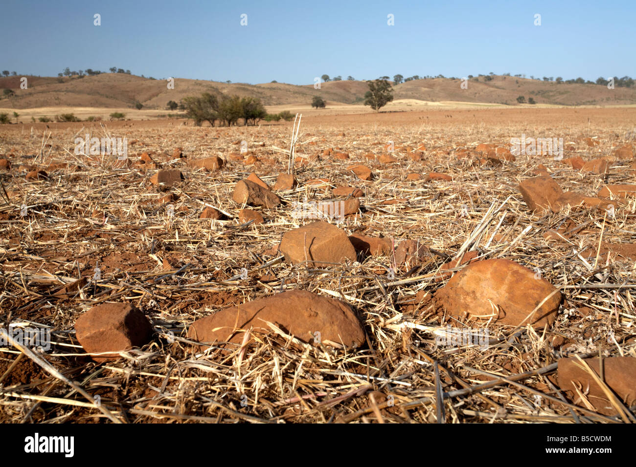 Fallow field drought hi-res stock photography and images - Alamy