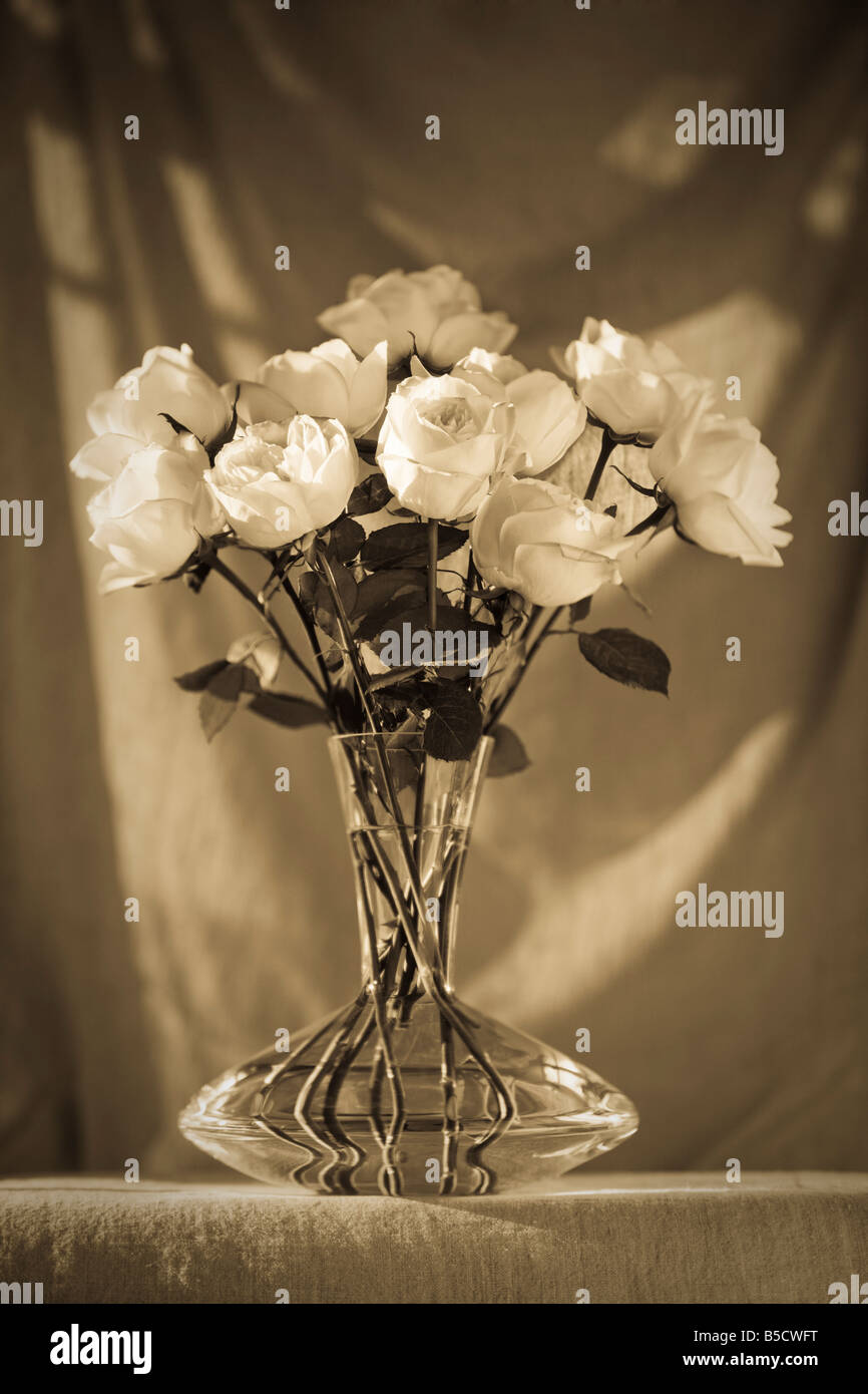 Toned picture hi-res stock photography and images - Alamy