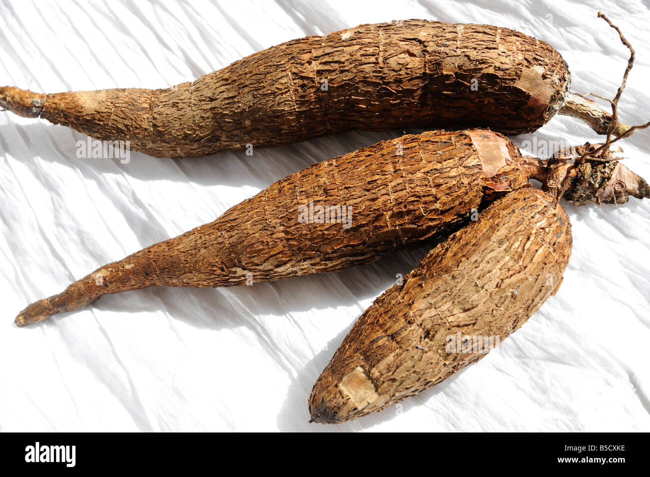 Cassava manioc hi-res stock photography and images - Alamy