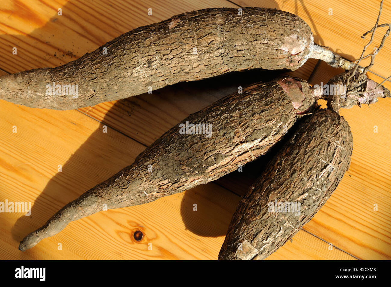 Cassava manioc hi-res stock photography and images - Alamy
