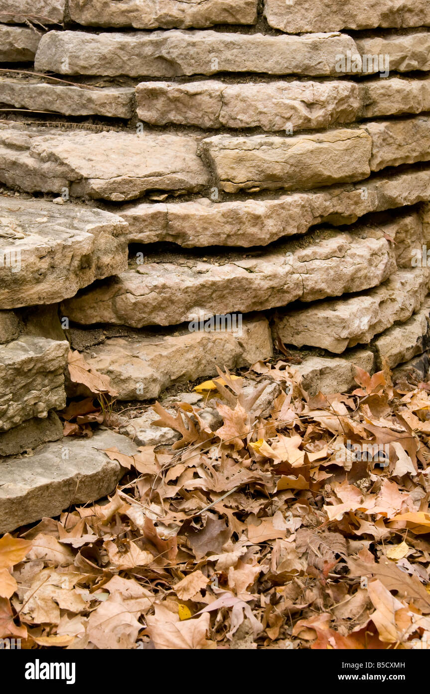 Permanence and transience: fallen leaves on ground by stone wall Stock ...