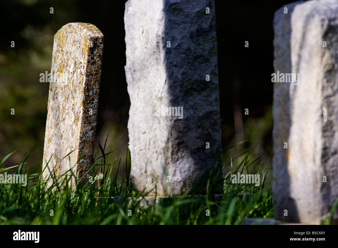 Tiny grave hi-res stock photography and images - Alamy