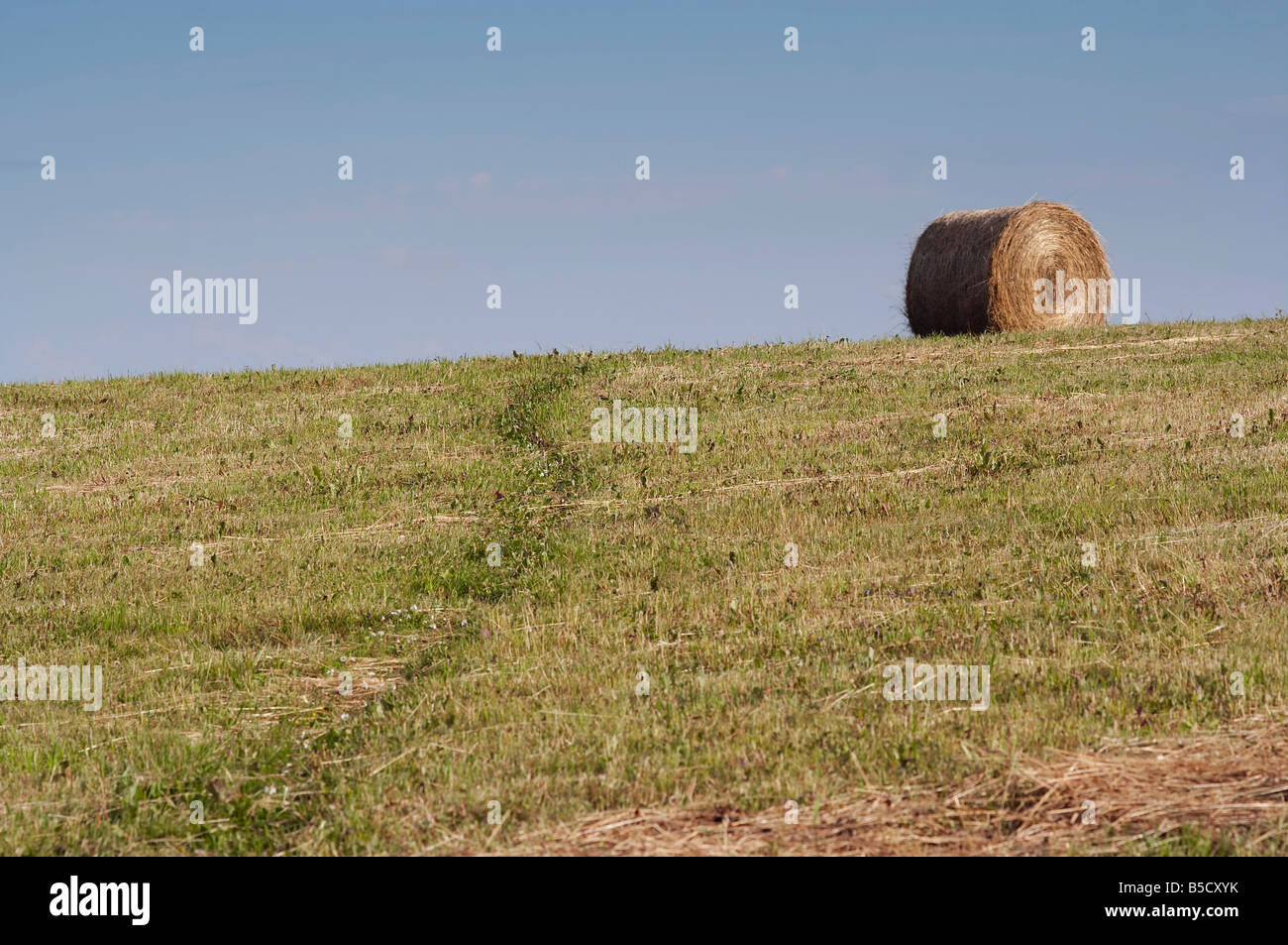 Truss of hay hi-res stock photography and images - Alamy