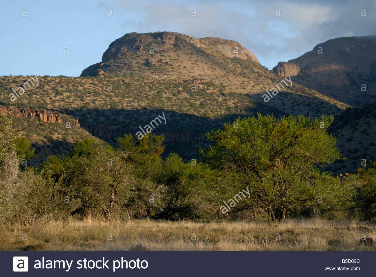 Koppies Stock Photos & Koppies Stock Images - Alamy
