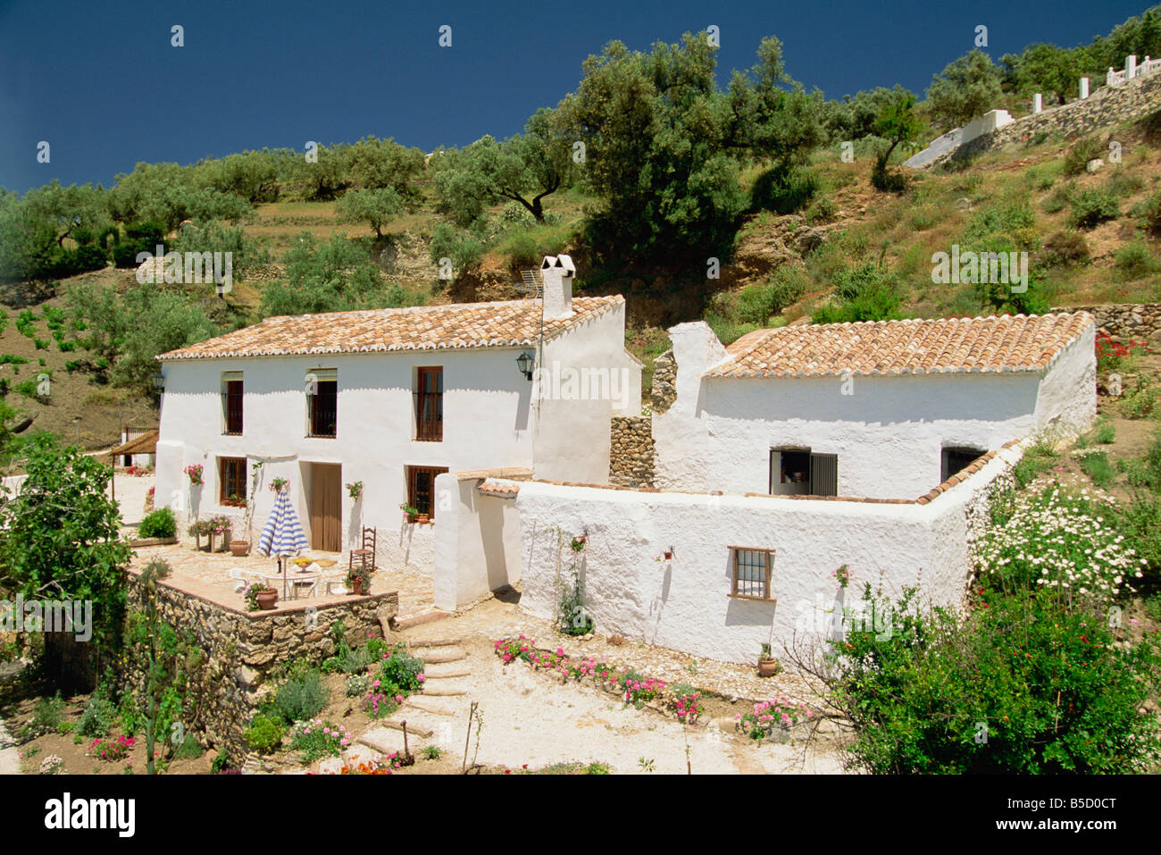 A white walled house in the countryside near Malaga Andalucia Spain M ...