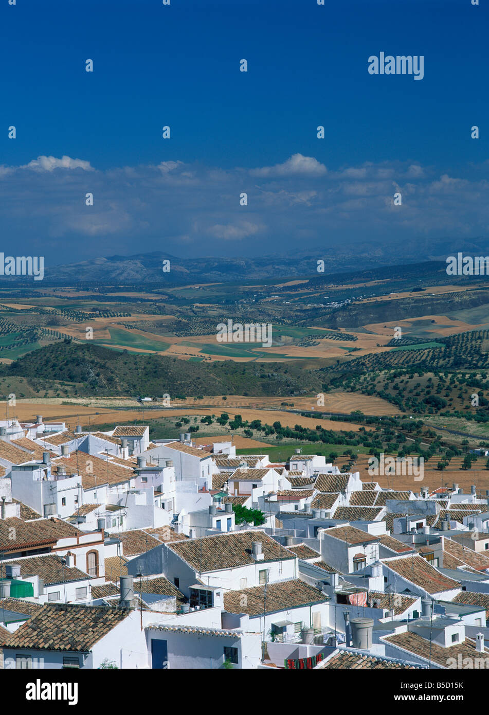 White painted houses in the town of Olvera with fields and hills in the ...
