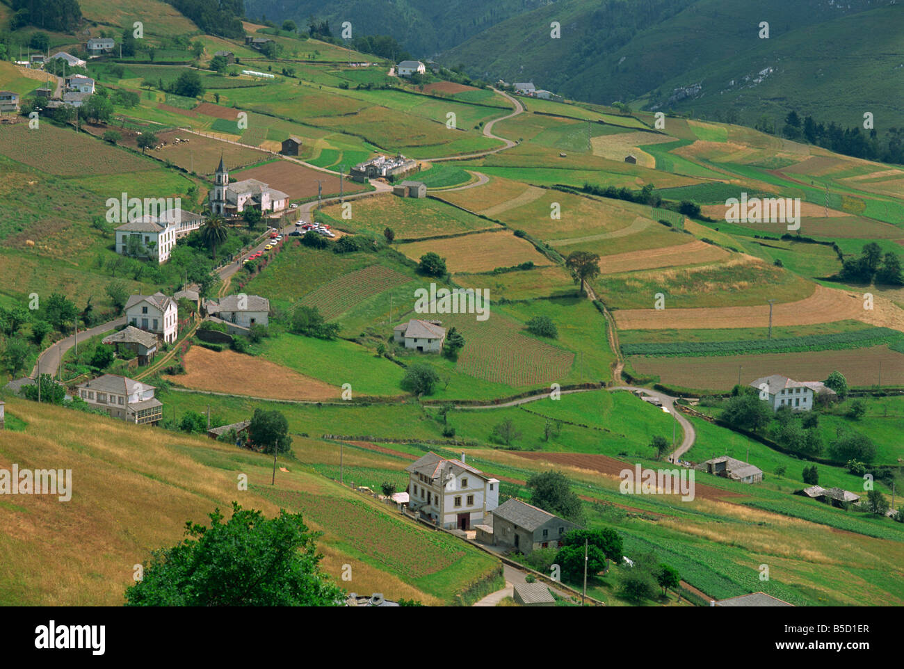 Fields farms and houses in the Navia Valley Valle del Navia in Asturias ...
