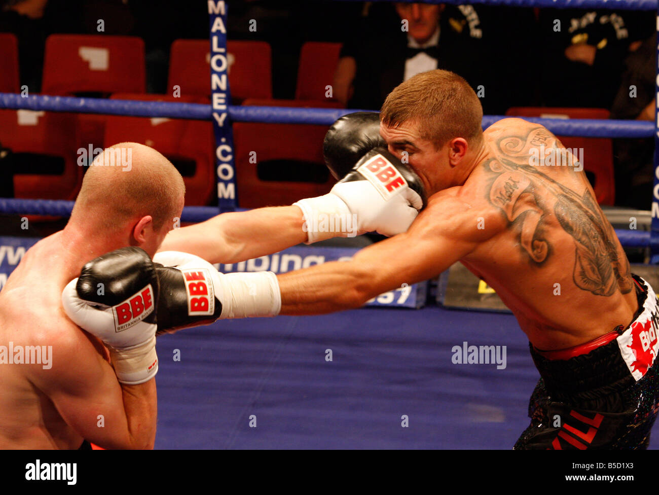 Fighter punched in face hi-res stock photography and images - Alamy