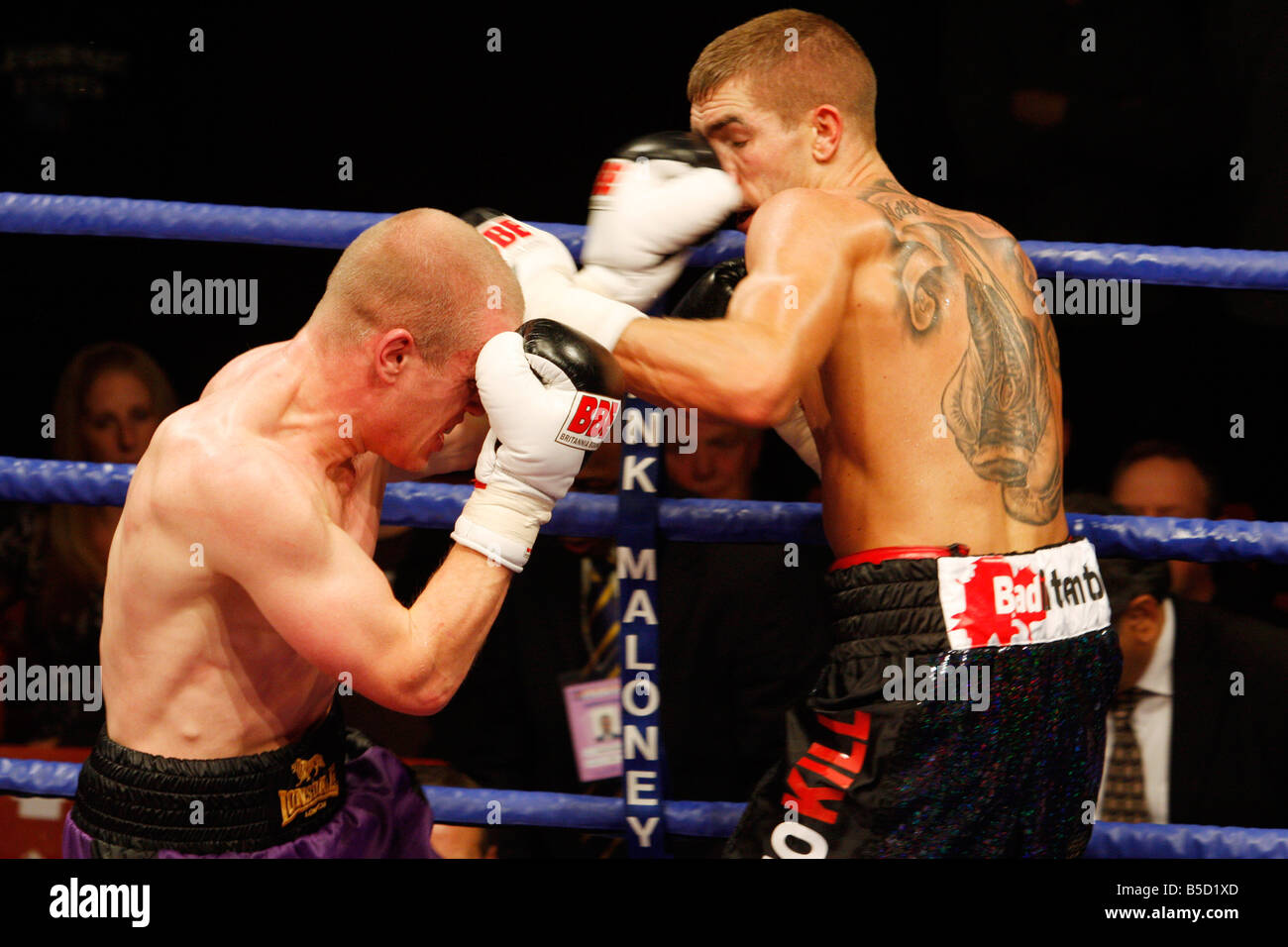 Fighter punched in face hi-res stock photography and images - Alamy