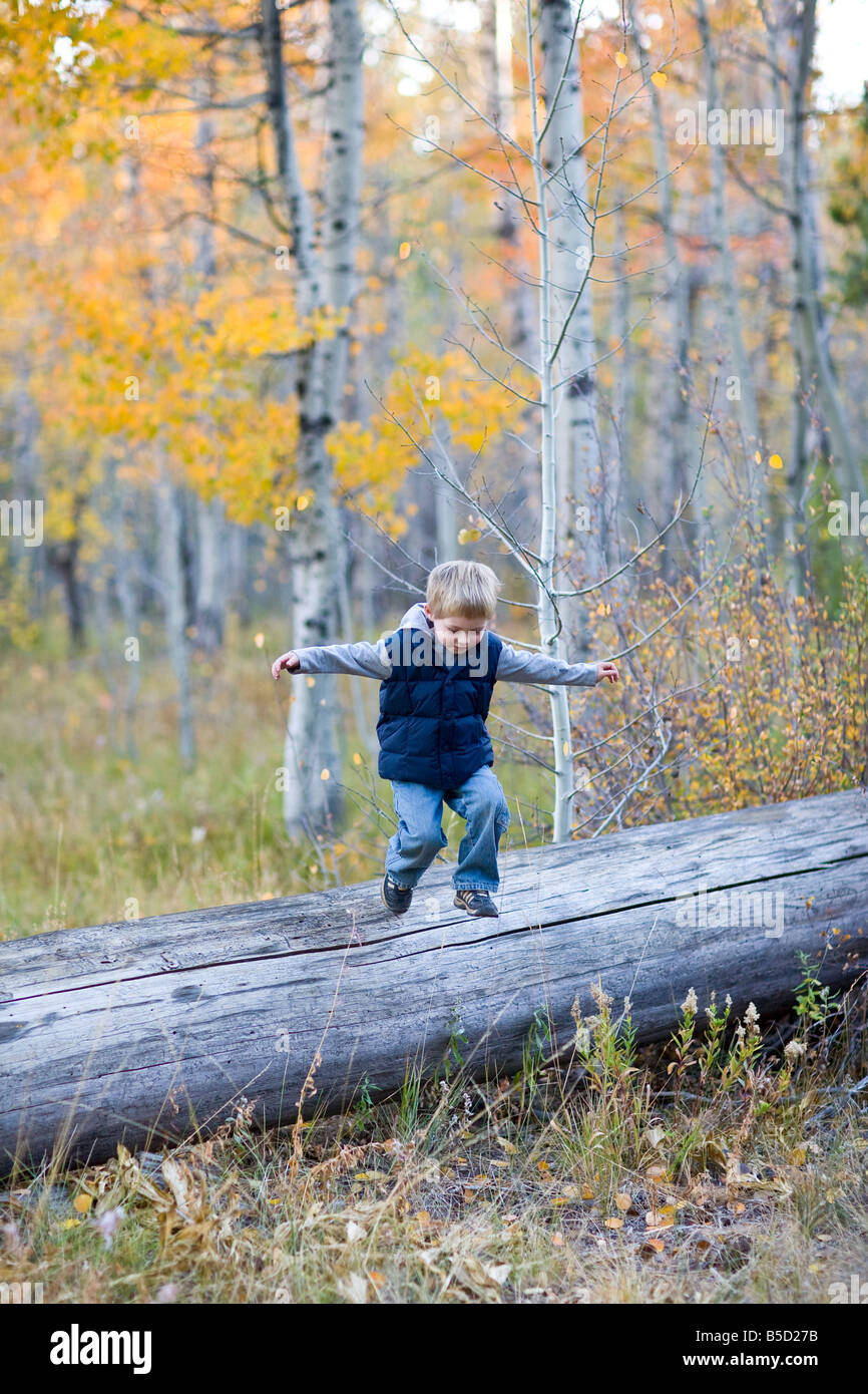 little boy jumping off log, fall colors Stock Photo - Alamy