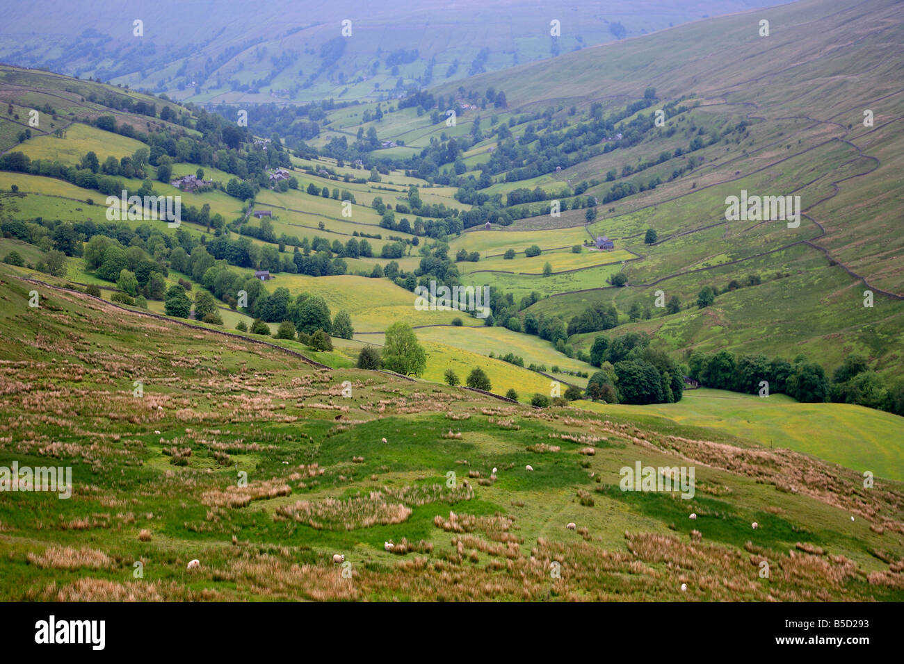Summer Landscape Dentdale Valley Yorkshire Dales National Park Cumbria ...