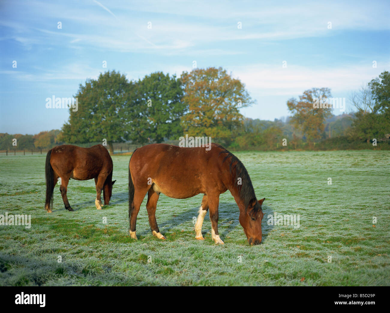 Sandhurst berkshire hi-res stock photography and images - Alamy