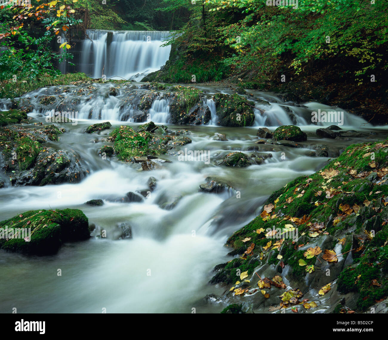 Stock ghyll waterfalls ambleside hi-res stock photography and images ...