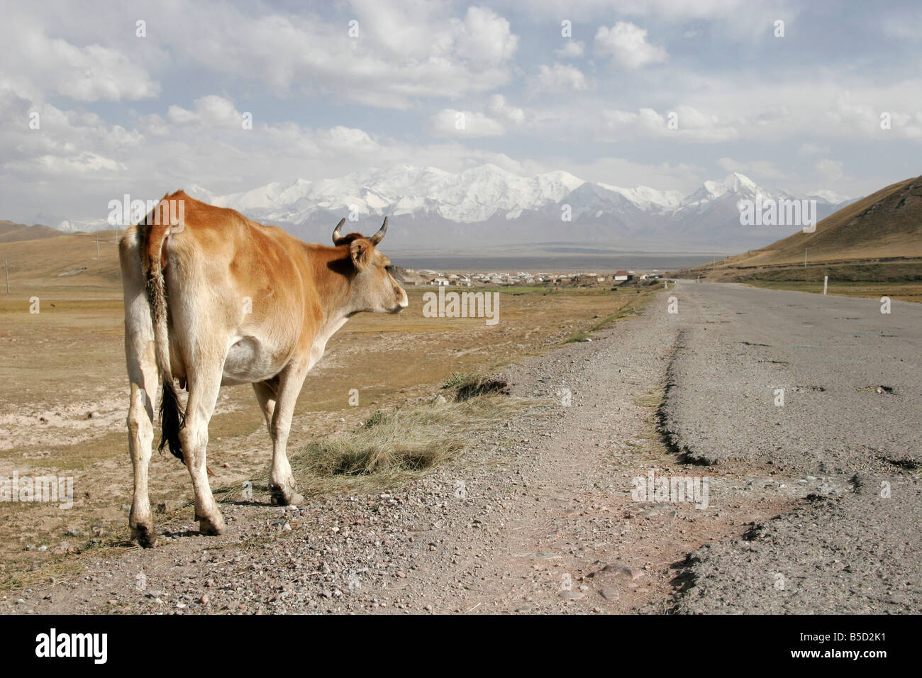 Sary Tash, border town, Pamir mountains covered with snow, Kyrgyzstan ...