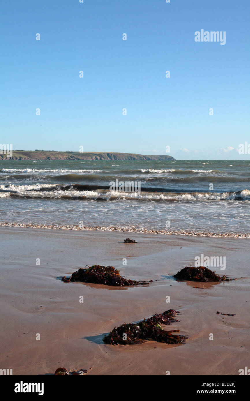 Ardmore beach hi-res stock photography and images - Alamy