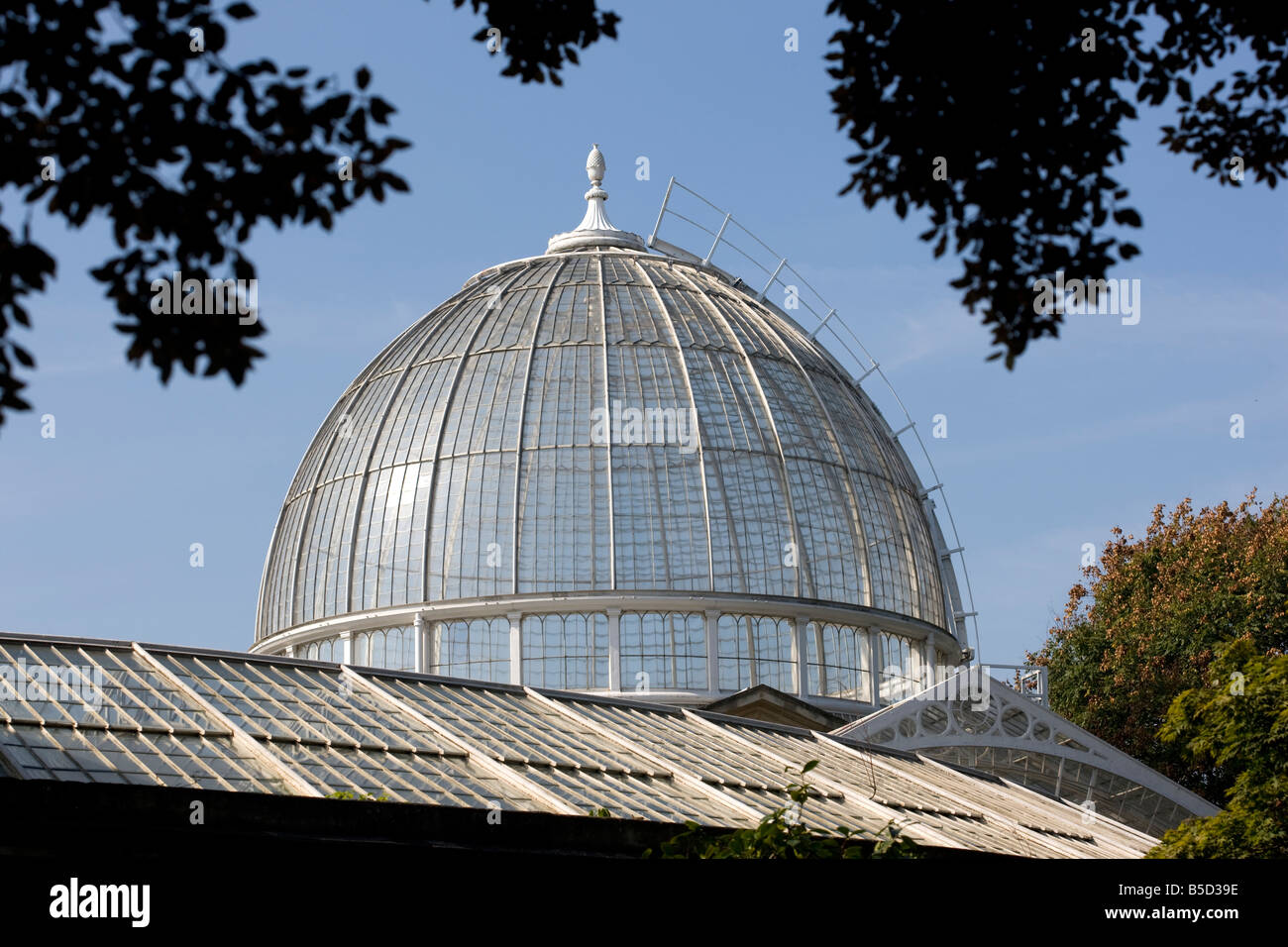The Great Conservatory Syon Park London England UK Stock Photo - Alamy
