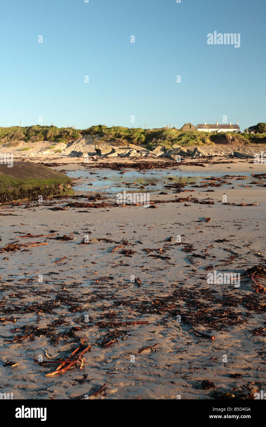 Ardmore bay county waterford hi-res stock photography and images - Alamy