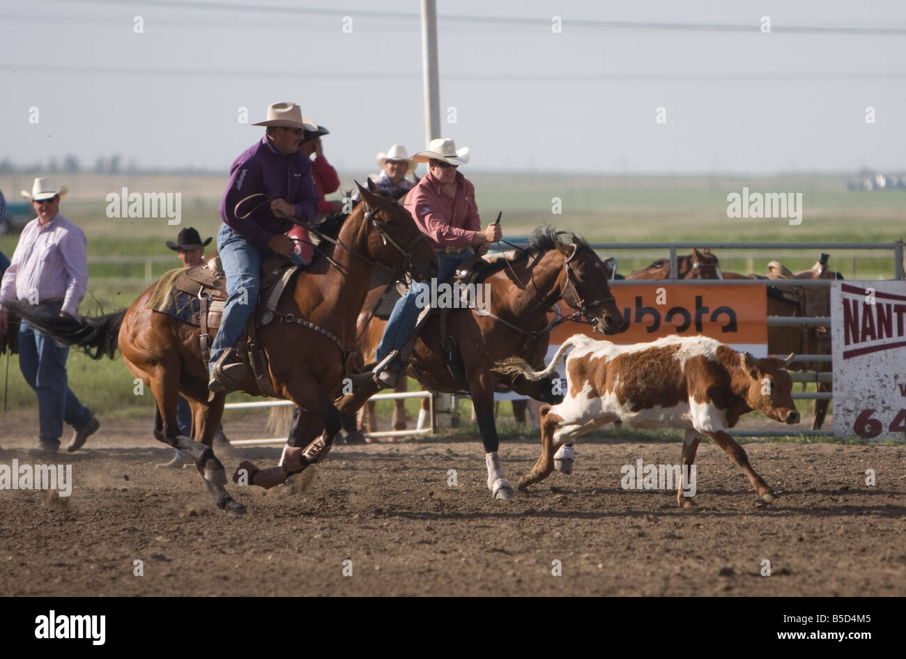 Bulldogging hi-res stock photography and images - Alamy