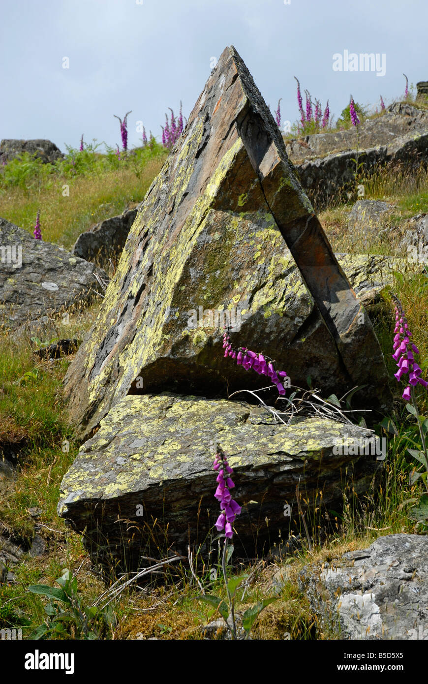 Triangle shaped shape hi-res stock photography and images - Alamy