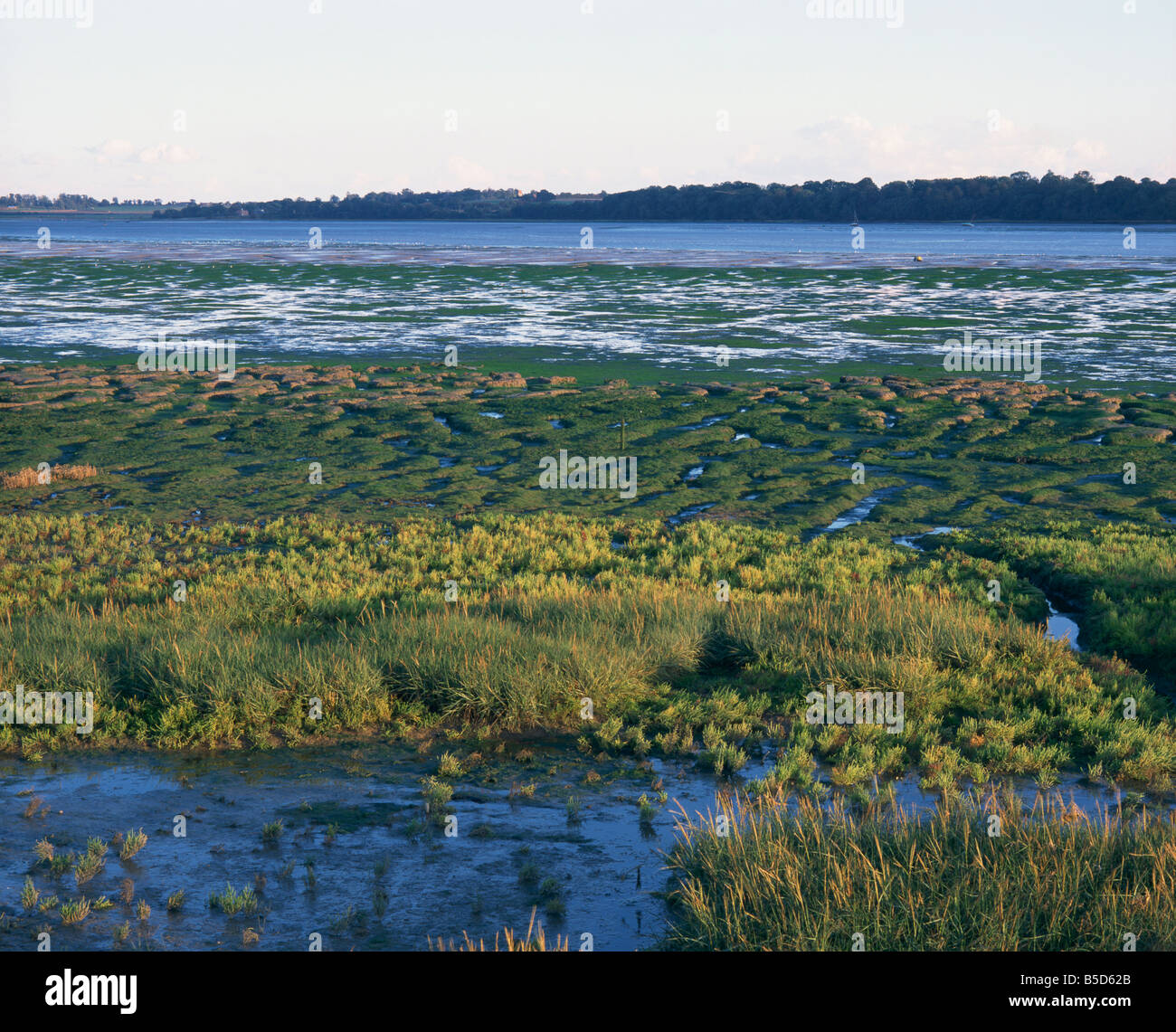Essex coastline's environment hi-res stock photography and images - Alamy
